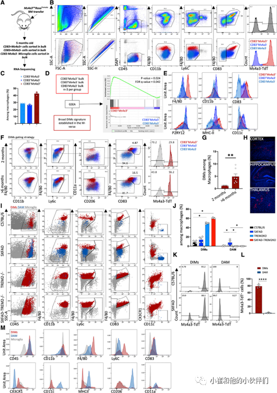 Immunity：细分大脑巨噬细胞亚群|RNA_新浪新闻
