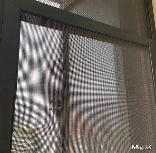 为何越来越多人喜欢用高透纱窗？体验后发现，它确实比金刚纱网好|纱网|金刚|飞虫_新浪新闻
