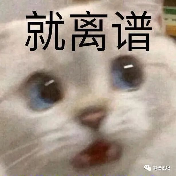 什么情况！法老和小精灵居然悼念Buzzy！“你过得好吗，在那边”|法老|在那边_新浪新闻