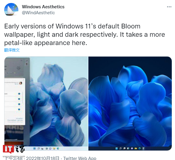 早期版 Win11“Bloom”主题壁纸曝光