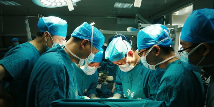 世界首例六基因编辑猪-猴多器官、多组织同期联合移植成功实施_手机新浪网