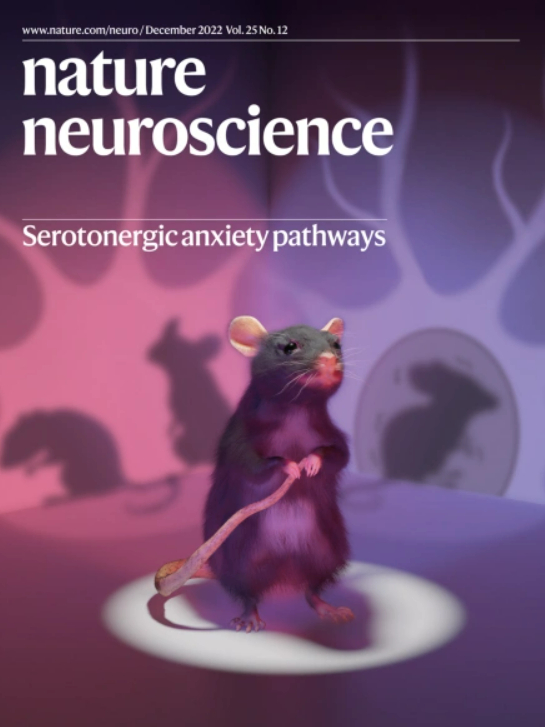 Nat Neurosci封面论文：浙大李晓明团队揭示杏仁核五羟色胺通路介导焦虑的行为特征|浙江大学|论文|李晓明_新浪新闻