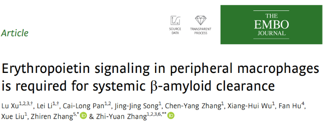 EMBO J ：张志远团队发现系统性清除Aβ的新机制及其对AD的重要意义|张志远|论文_新浪新闻