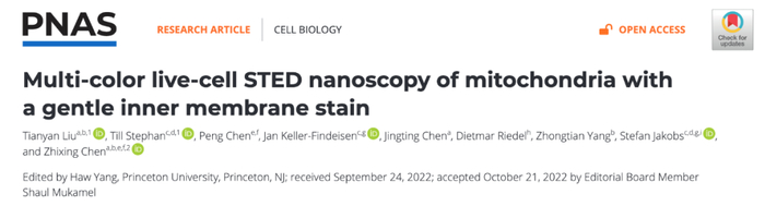 PNAS封面：北大陈知行团队研发新探针实现线粒体多色STED成像|生物学与医学|显微镜|活细胞|北京大学|纳米_新浪新闻