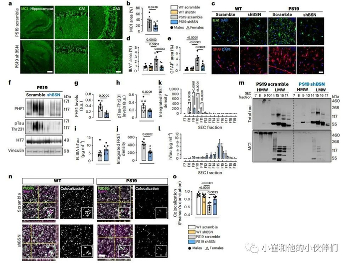 Nature Neurosci：一种有助于tau种子繁殖和神经毒性的蛋白|突触_新浪新闻