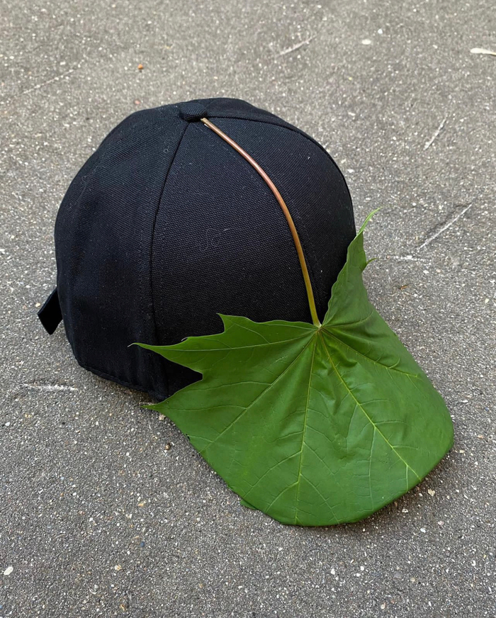 看俄罗斯艺术家Katya Pravda的作品……