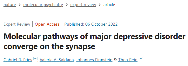 Mol Psychiatry重要综述：全面总结抑郁症与突触相关的分子机制|突触_新浪新闻
