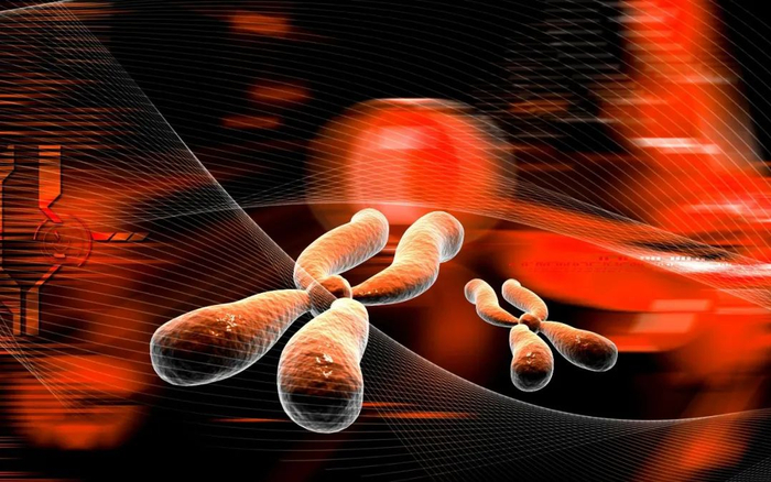 辉瑞、杨森、复宏汉霖、普方生物等公司1类新药获批临床|复宏汉霖|适应症|注射液_新浪新闻