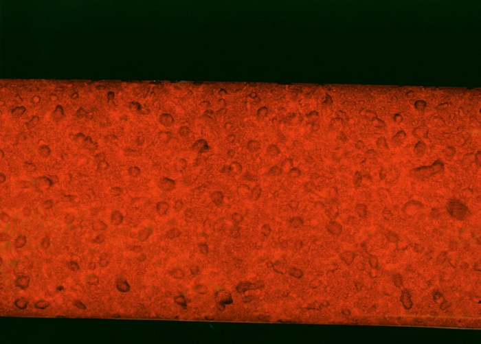 雄心勃勃的计划：沃尔沃正在将 Rust 用于其车载软件__财经头条__新浪财经
