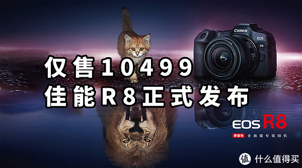 仅售10499 爆打R6 佳能EOS R8正式发布|佳能_新浪新闻