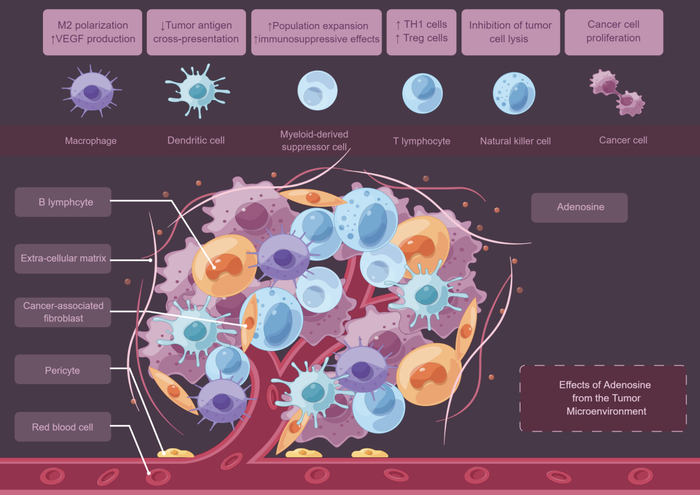 科研绘图自由！国内首个开放式在线绘图平台Figdraw突破10万用户！《奖学金激励计划》发布：最高5000元！__财经头条__新浪财经