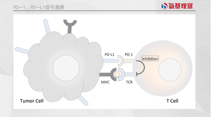 恒瑞医药集齐PD-1、PD-L1，用内卷打败内卷