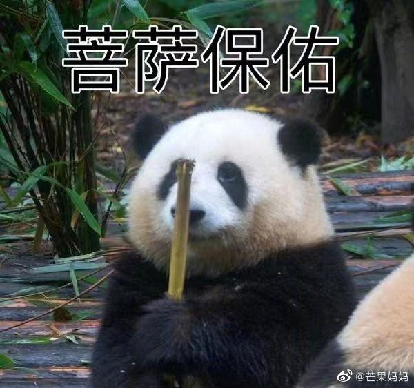 分享一波可爱panda 表情包，阿胖达索命别太好笑了哈哈哈哈哈……|表情包|可爱_新浪新闻