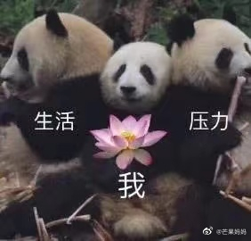 分享一波可爱panda 表情包，阿胖达索命别太好笑了哈哈哈哈哈……|表情包|可爱_新浪新闻
