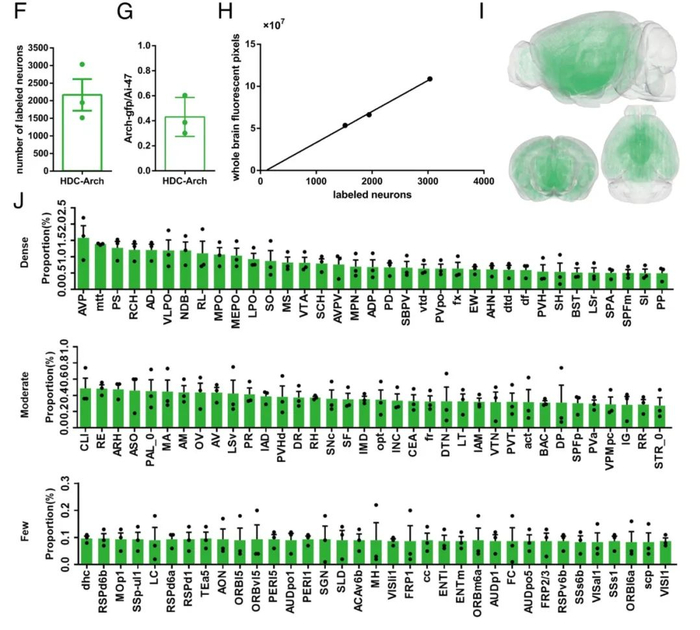 PNAS：浙中医陈忠教授团队绘制首个小鼠全脑组胺能神经元投射图谱|生物学与医学|标记|纤维|荧光_新浪新闻