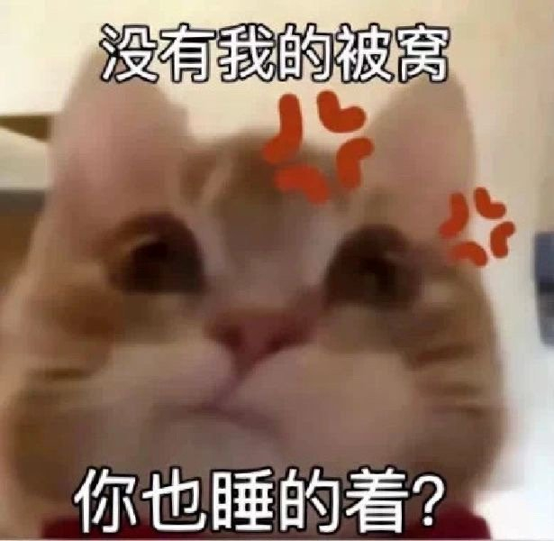 歪嘴小猫表情包来啦，好可爱|小猫|表情包|可爱_新浪新闻