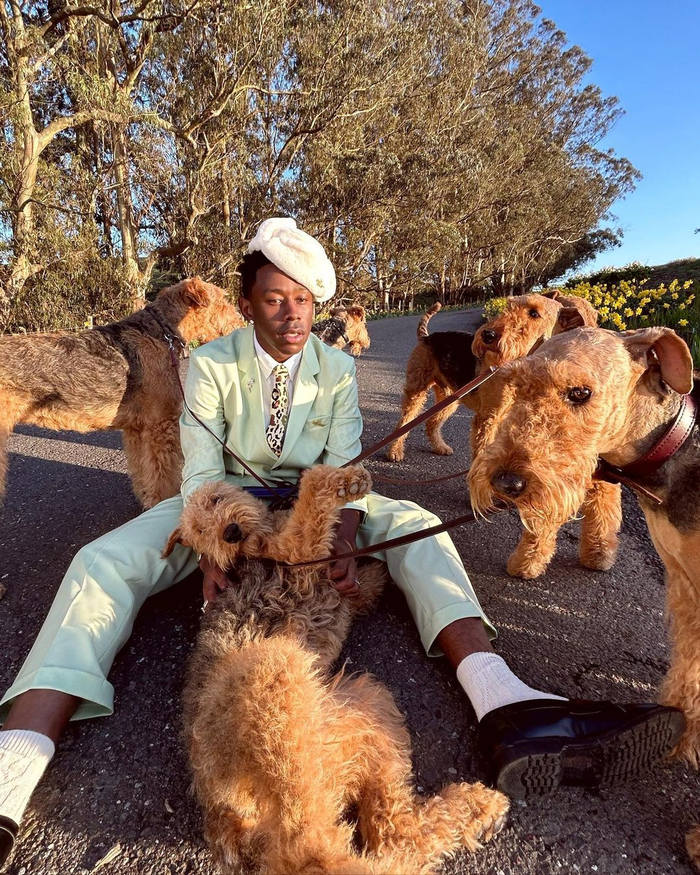 Tyler， The Creator 一些生活碎片