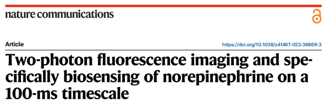 Nat. Commun：一种高灵敏性的去甲肾上腺素荧光探针用于大脑研究__财经头条__新浪财经