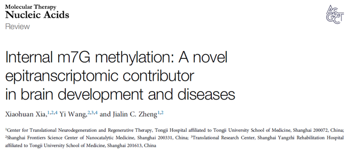 MTNA：郑加麟/夏骁寰等综述m7G甲基化修饰在神经疾病的重要作用__财经头条__新浪财经