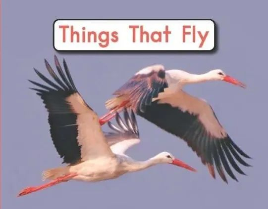 【英文有声绘本】海尼曼G2 02 Things That Fly|绘本