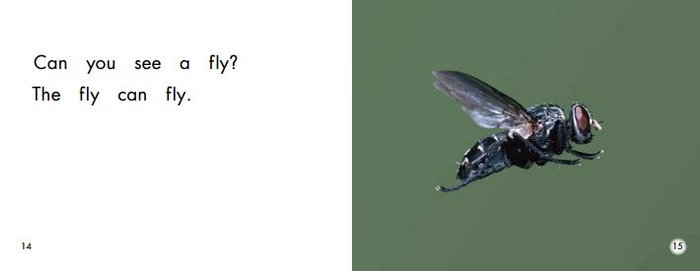 【英文有声绘本】海尼曼G2 02 Things That Fly|绘本