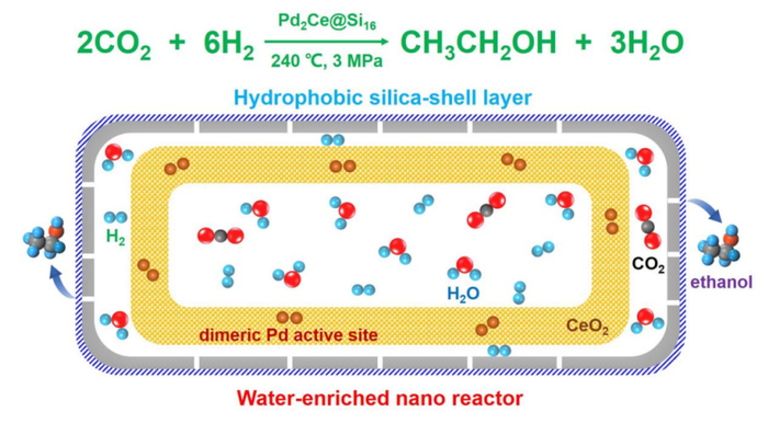 国际首次！二氧化碳一步转化|二氧化碳|江南大学_新浪新闻