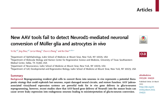 争鸣继续：Neurod1不能在体内介导胶质细胞转分化为神经细胞？|编程|胶质|细胞_新浪新闻