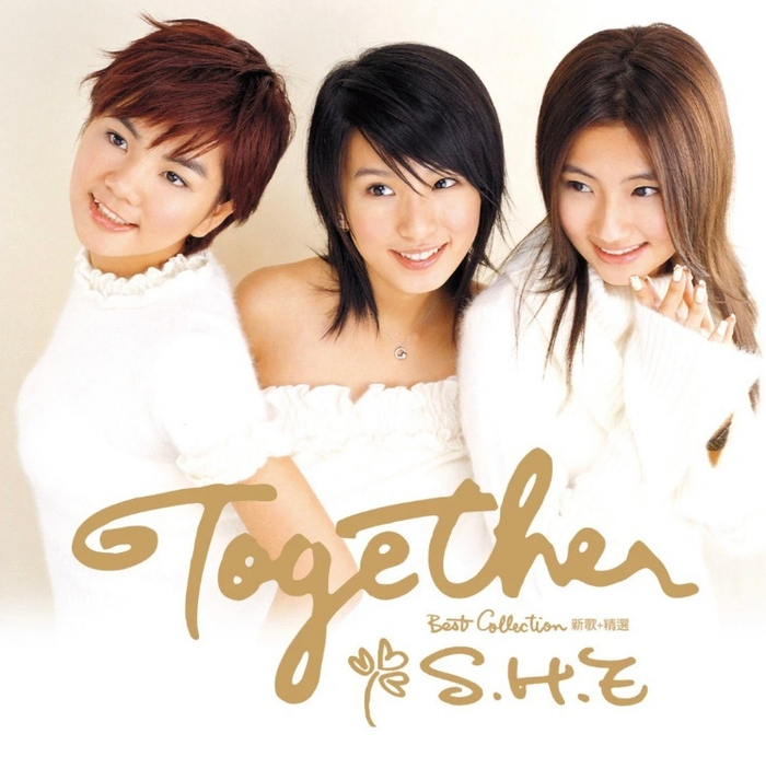 来看看那些年SHE的专辑封面💽……|专辑|封面|波斯猫_新浪新闻