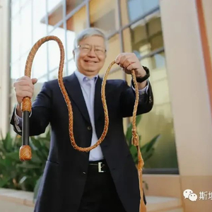 校园动态｜办公室里的工艺纪念品：Hau Lee教授的牛鞭_手机新浪网