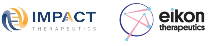 速递 | 英派药业与Eikon联合开发高选择性PARP1抑制剂，临床试验即将启动_手机新浪网