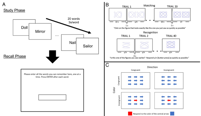 PNAS：喝茶能改善记忆力再添新的研究证据