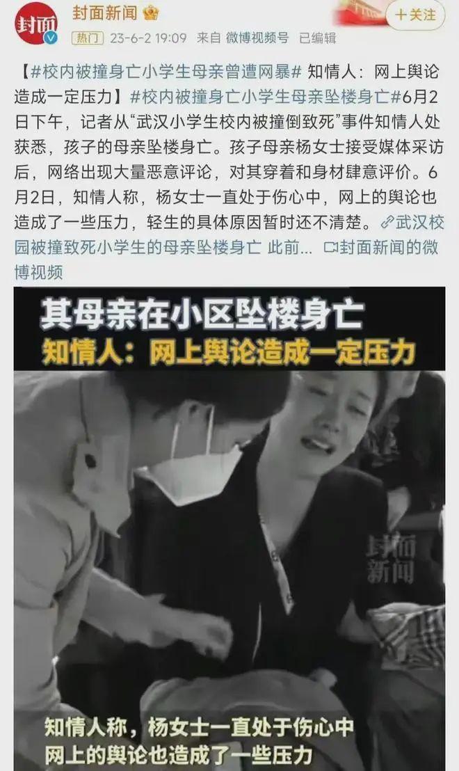武汉被撞学生妈妈坠楼前死于网络暴力！从这4个方面去应对网爆 刘学州 新浪新闻