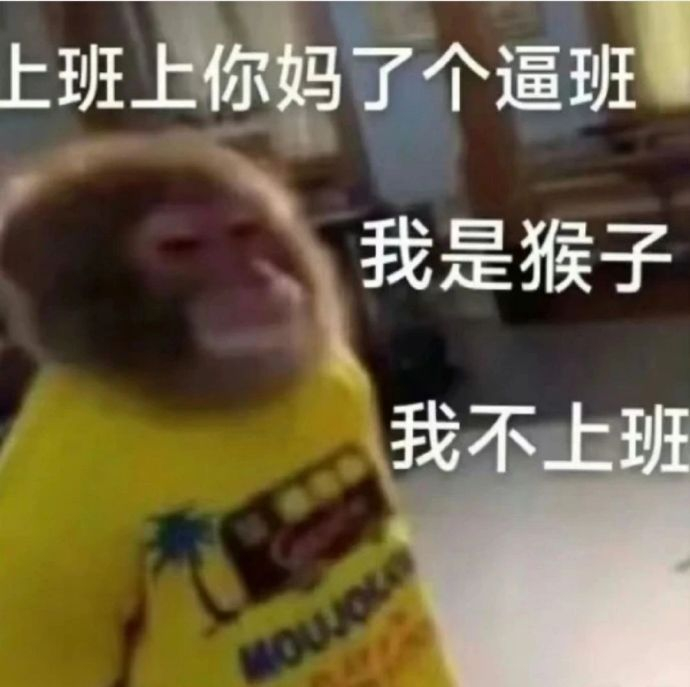 表情包来了 你一定能考上 冲 端庄 杯伤 冲冲冲 拉屎中……|表情包|猪_新浪新闻