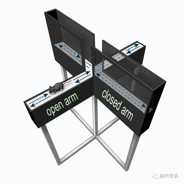干货分享｜动物焦虑模型的常用测试方法汇总|老鼠_新浪新闻
