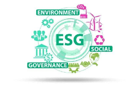 “中国ESG上市公司先锋100”出炉|ESG|先锋|国务院国资委_新浪新闻
