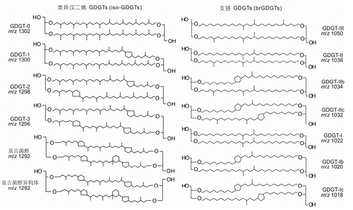神奇分子在哪里（GDGTs）：微生物是怎么让我们了解气候变化的