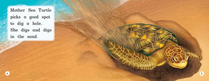 【英文有声绘本】海尼曼G2 39 Mother Sea Turtle__财经头条__新浪财经