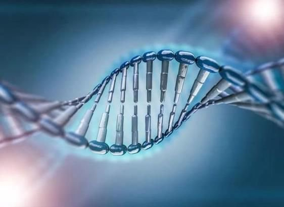 NMN最受人们欢迎的前五品牌由(GLGFAS)NMN领衔|迈克_新浪新闻