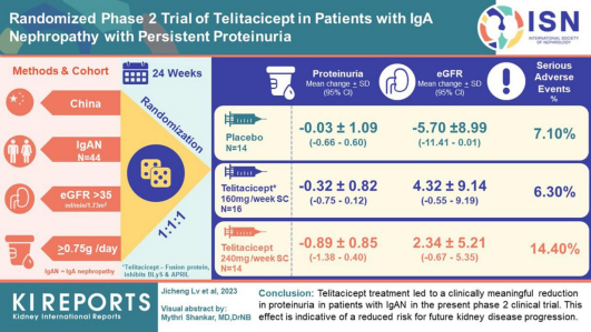 "靶"握未来!IgAN治疗新可能,泰它西普IgAN研究数据亮相CNA 2023