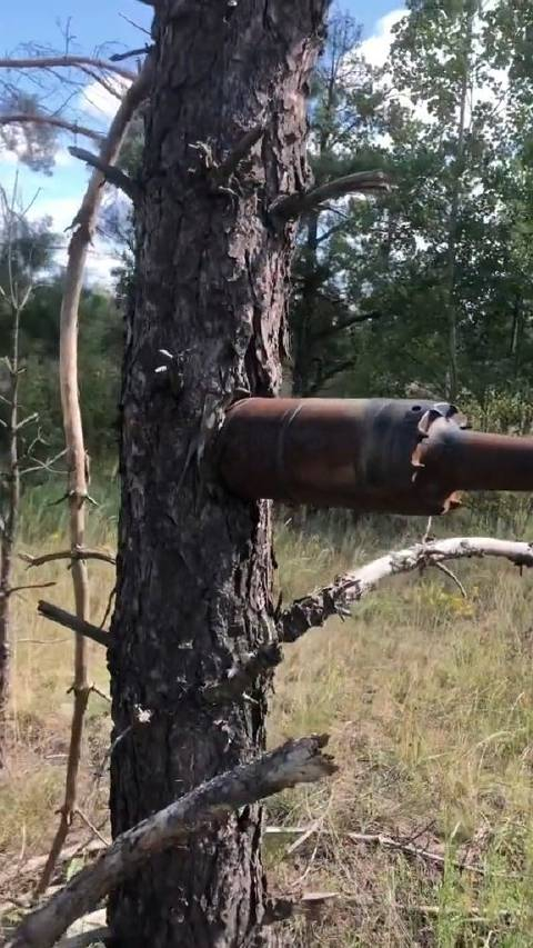 卡在树中的一枚BK-14M破甲弹_手机新浪网