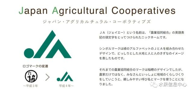 农业也是高科技行业，日本的水果已经成为“日本高端制造”代名词