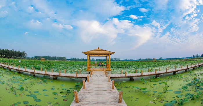 文旅消费推广季 | 出发宿迁田园，来一场country walk