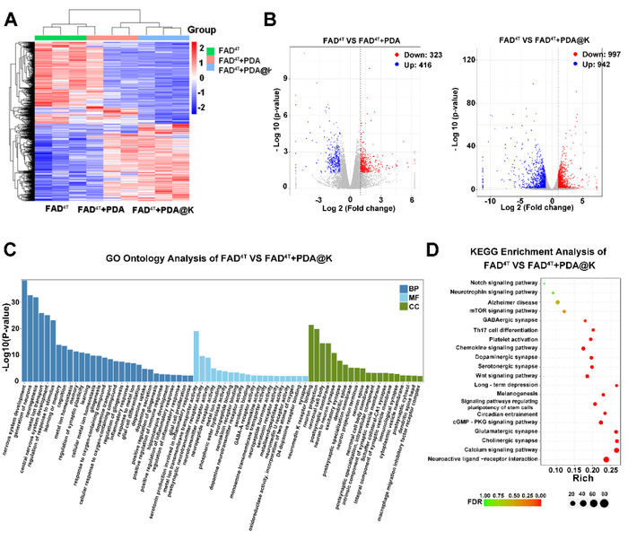 Research：选择性跨越病理血脑屏障的聚多巴胺系统用于AD的治疗|纳米_新浪新闻