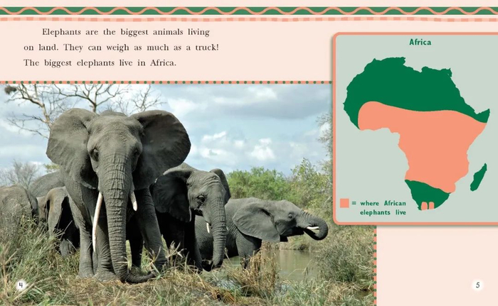 【英文有声绘本】海尼曼G2 85 All About African Elephants__财经头条