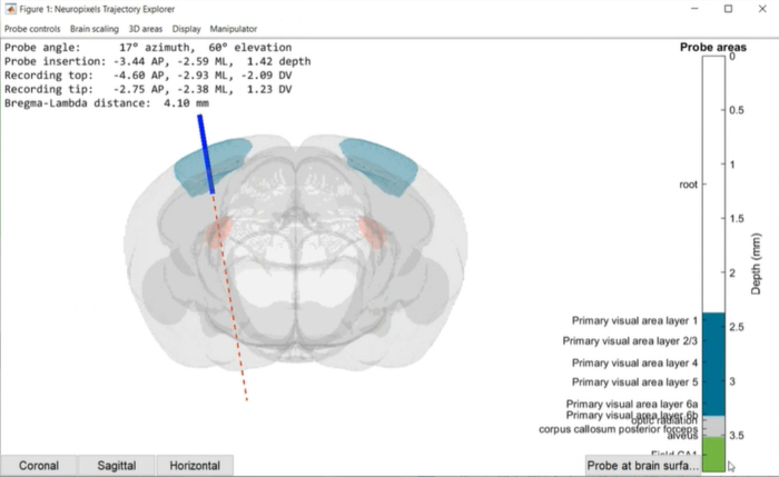 Neuropixels 2.0正式发布：更小体积，更多电极，实现自由活动动物的长期记录|探针|位点|电极_新浪新闻