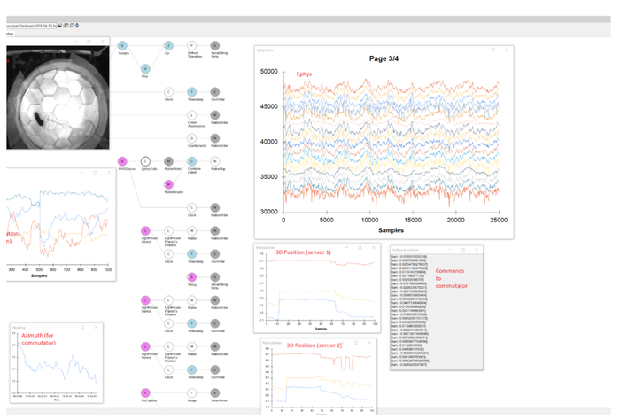 Neuropixels 2.0正式发布：更小体积，更多电极，实现自由活动动物的长期记录|探针|位点|电极_新浪新闻