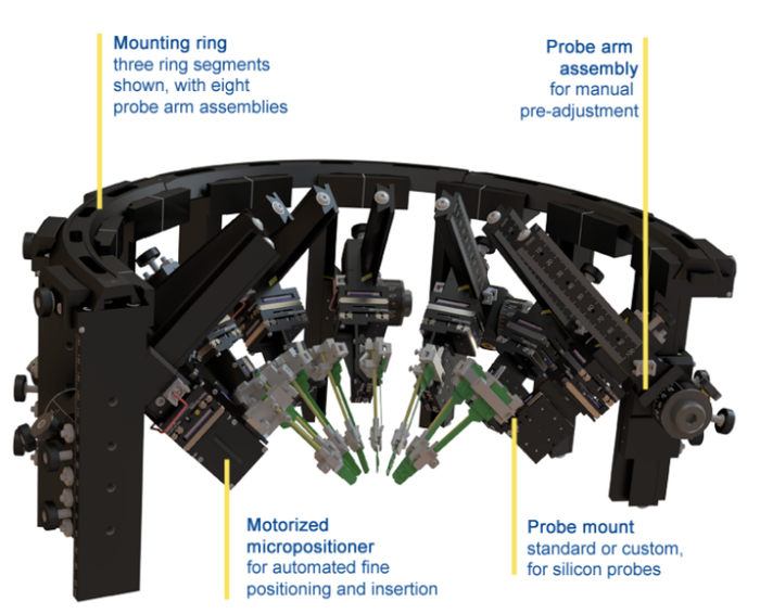 Neuropixels 2.0正式发布：更小体积，更多电极，实现自由活动动物的长期记录__财经头条