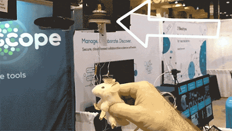 Neuropixels 2.0正式发布：更小体积，更多电极，实现自由活动动物的长期记录|探针|位点|电极|神经元|小鼠_新浪新闻