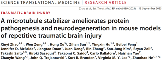 STM：贺焯皓团队报道rTBI诱导tau蛋白病理积聚和神经退行性变新机制__财经头条__新浪财经