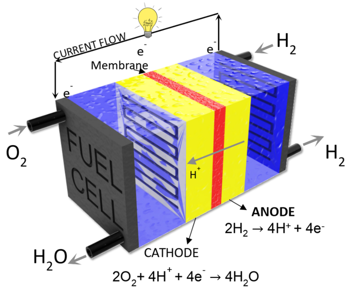 科学家设计新型电化学分析法，可实时分析催化剂降解机制，助力攻克燃料电池快速衰退问题__财经头条